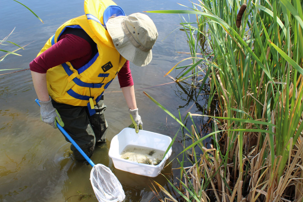 Water and Riparian Assessments | South East Alberta Watershed Alliance